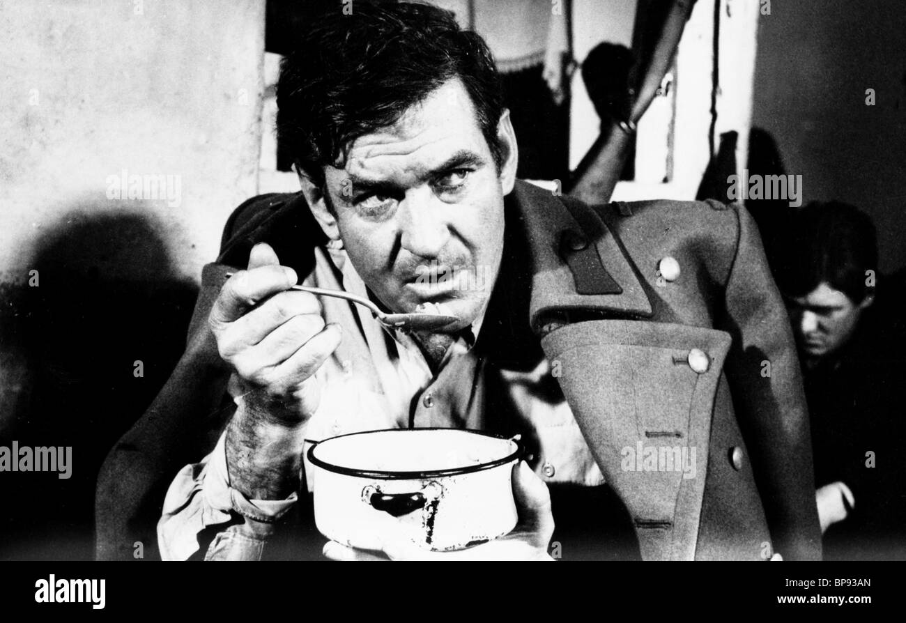 Actor Rod Taylor High Resolution Stock Photography and Images - Alamy