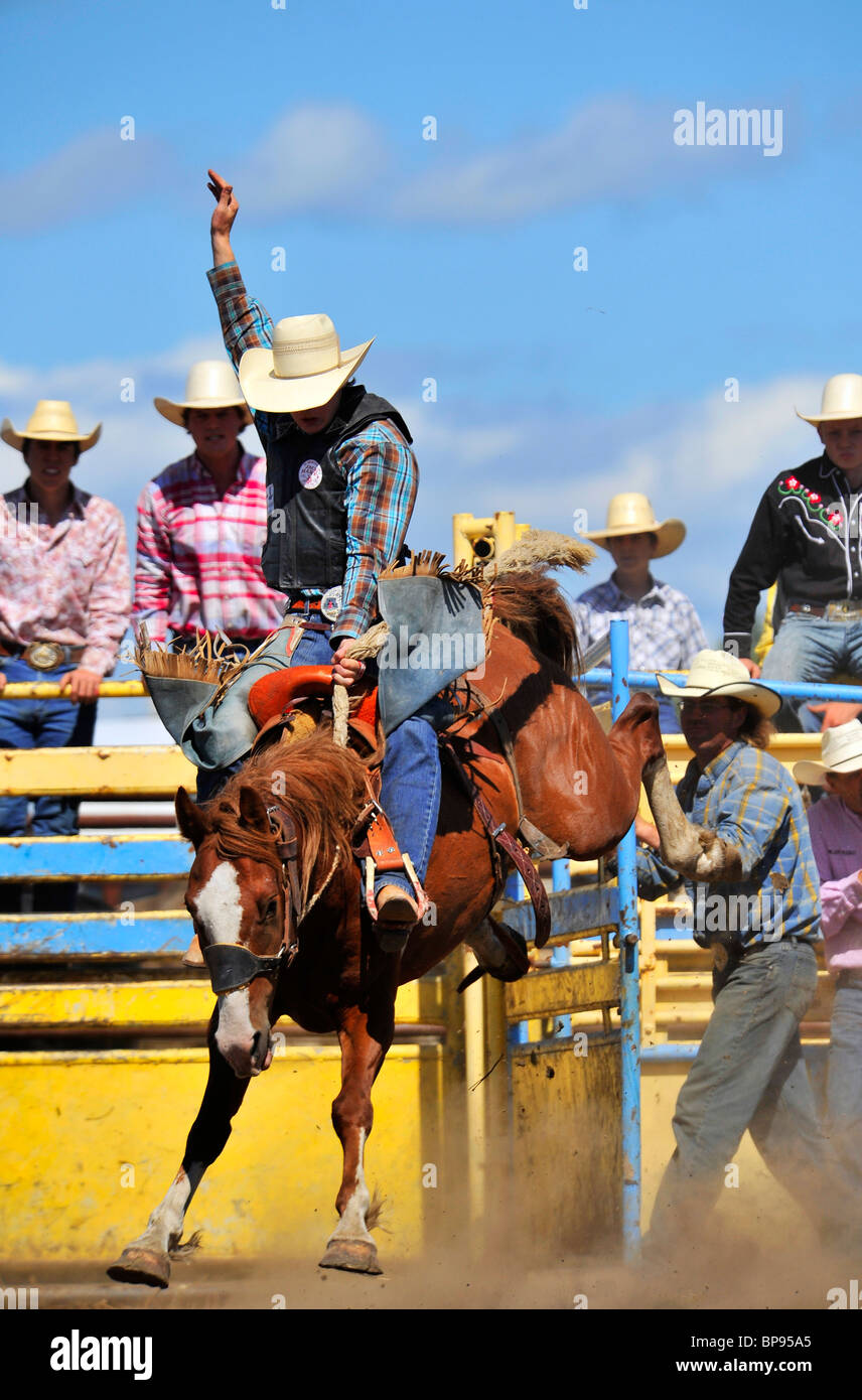 Bucking horse hi-res stock photography and images - Alamy