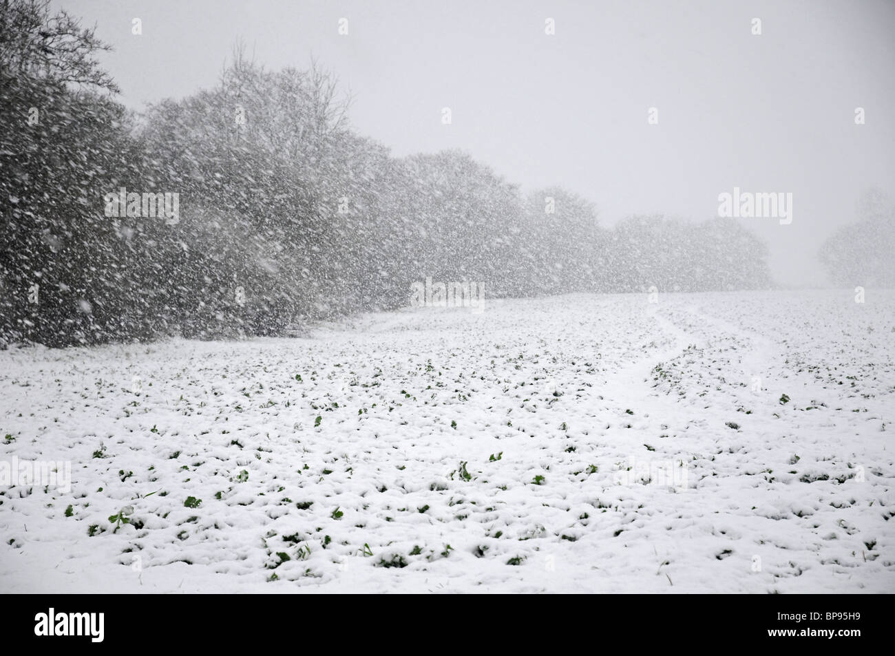 Plain snow hi-res stock photography and images - Alamy