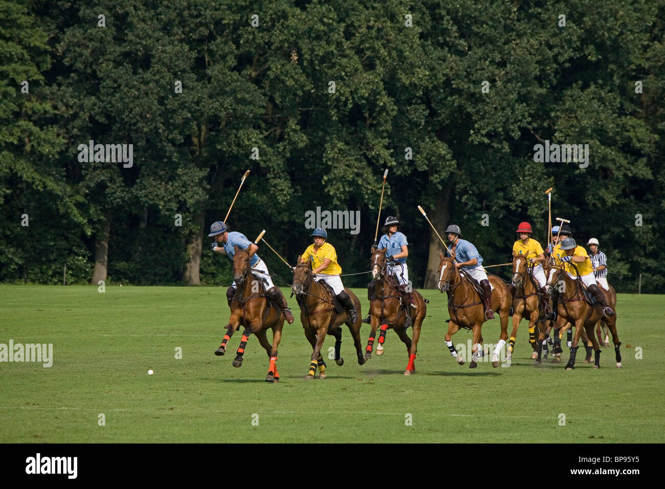 Polo horse hi-res stock photography and images - Alamy