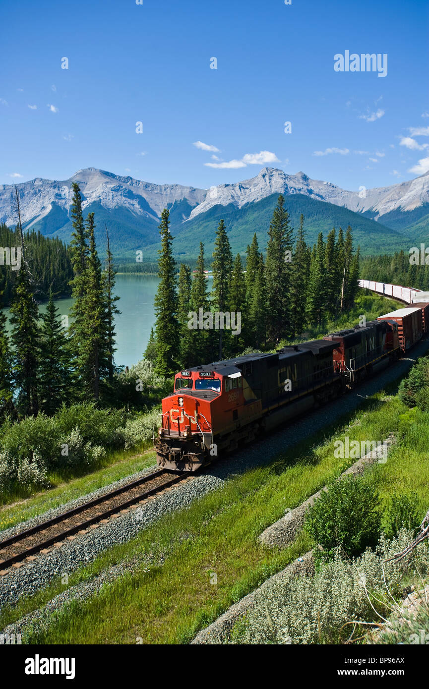A C.N. freight train Stock Photo - Alamy
