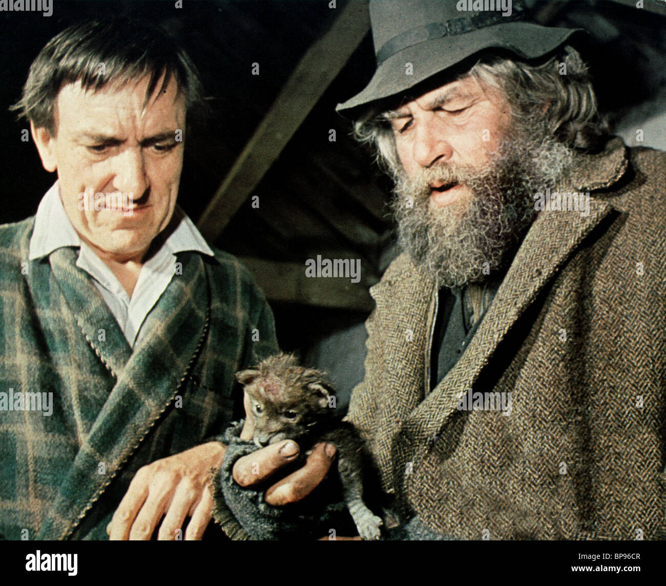 Travers Smith High Resolution Stock Photography and Images - Alamy