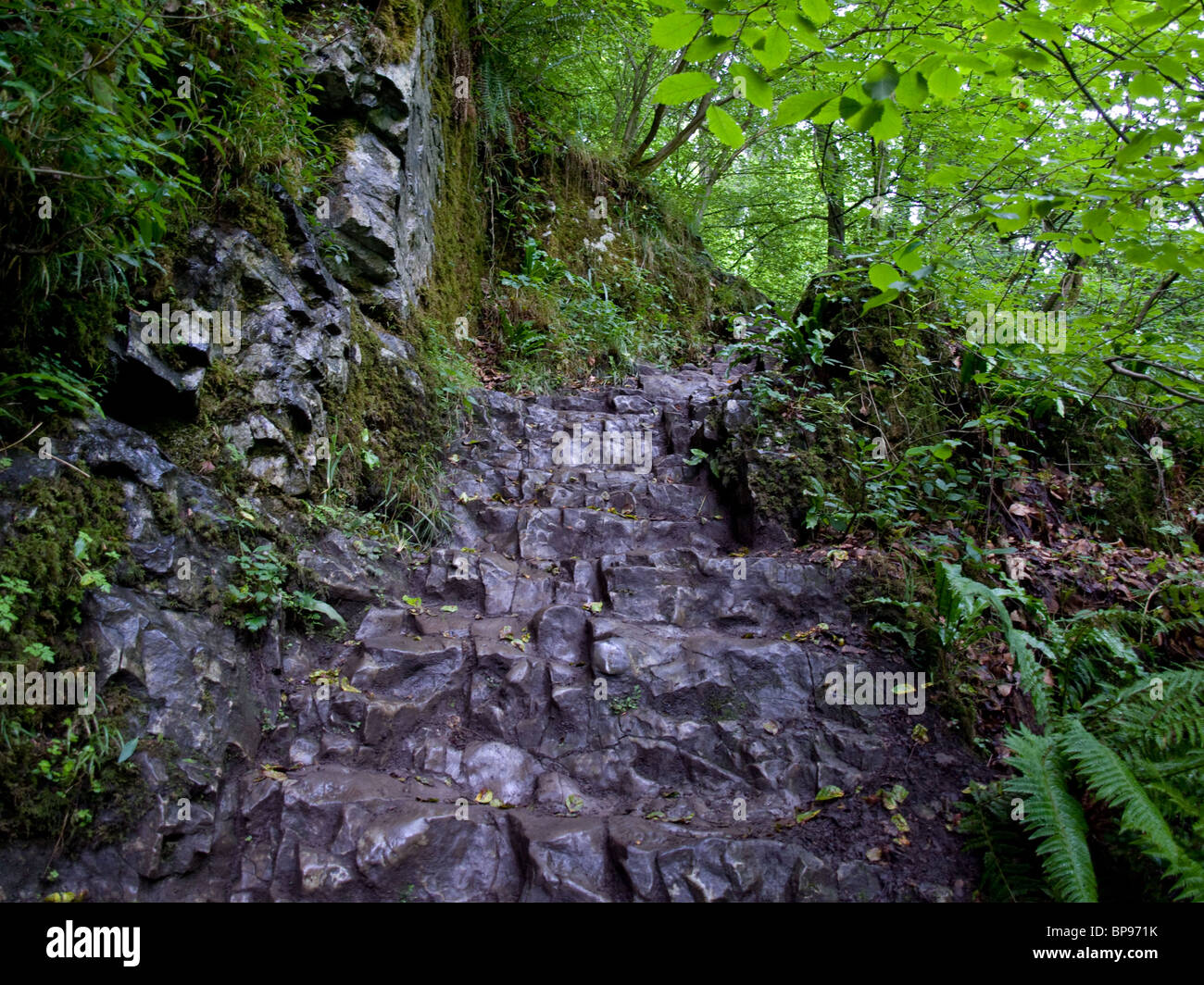 Chee dale peak district hi-res stock photography and images - Alamy