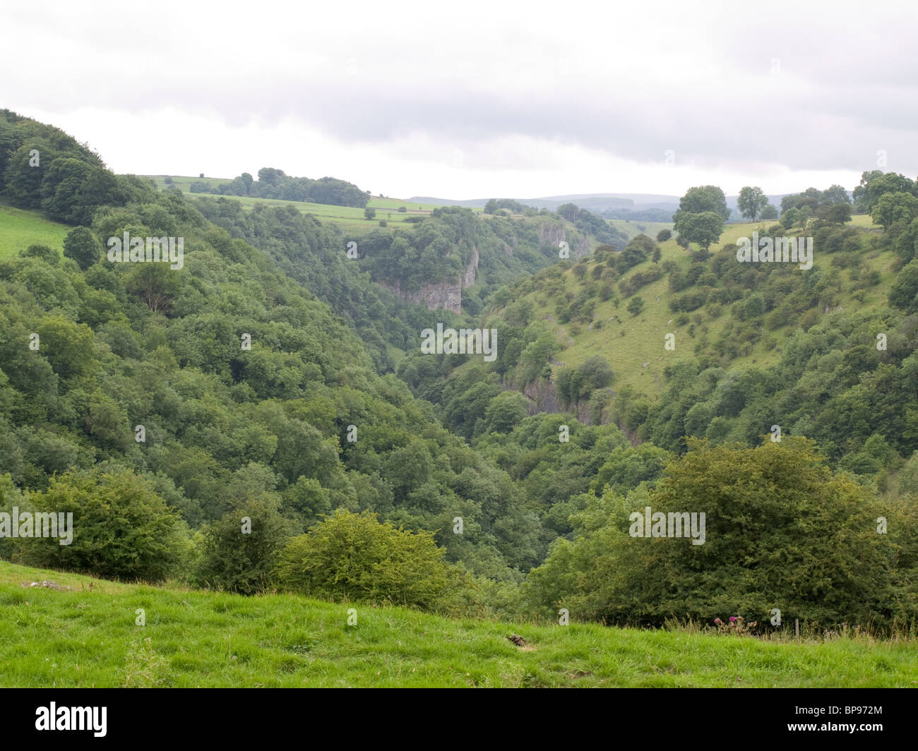 Chee dale hi-res stock photography and images - Alamy
