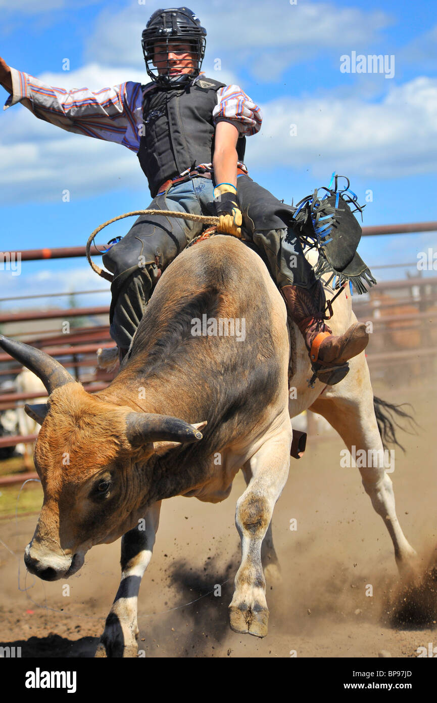 2 Tough Bull Riding Helmets