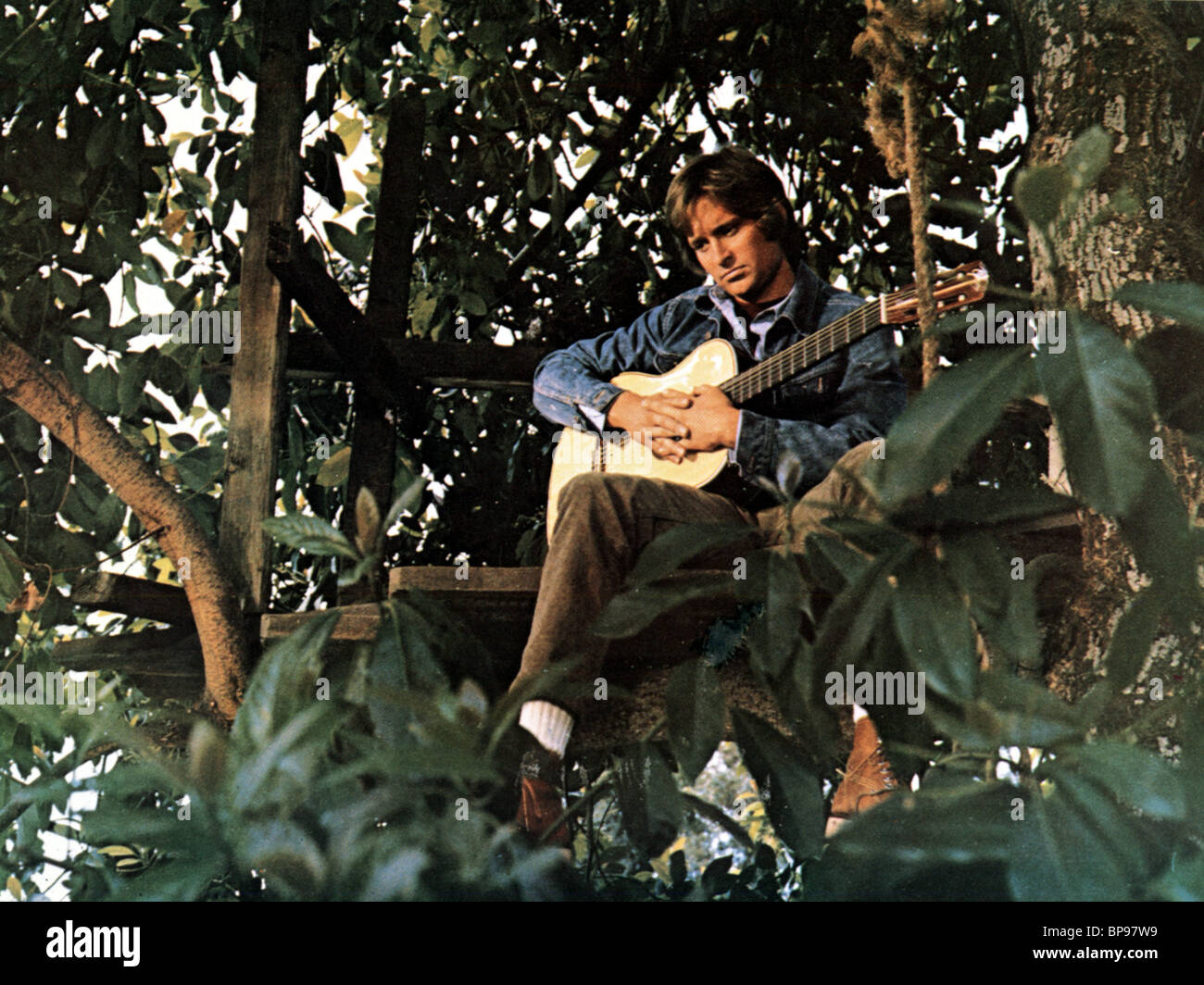 Summertree High Resolution Stock Photography and Images - Alamy