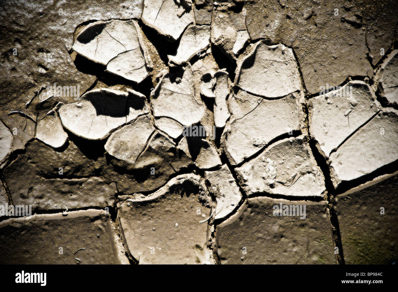 Dried mud abstract pattern Stock Photo - Alamy
