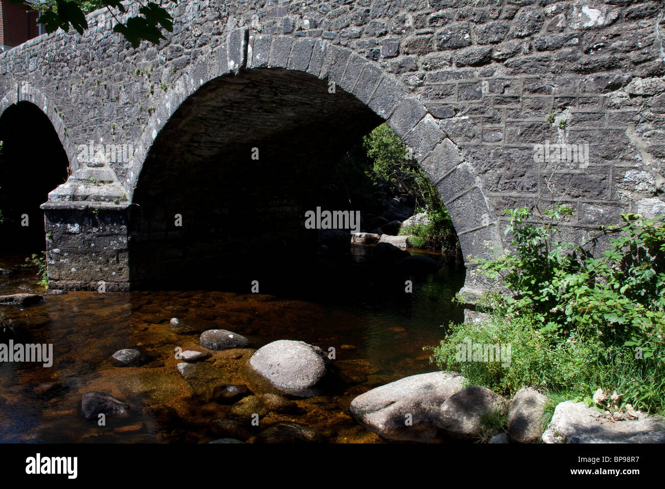 Badgers holt hi-res stock photography and images - Alamy