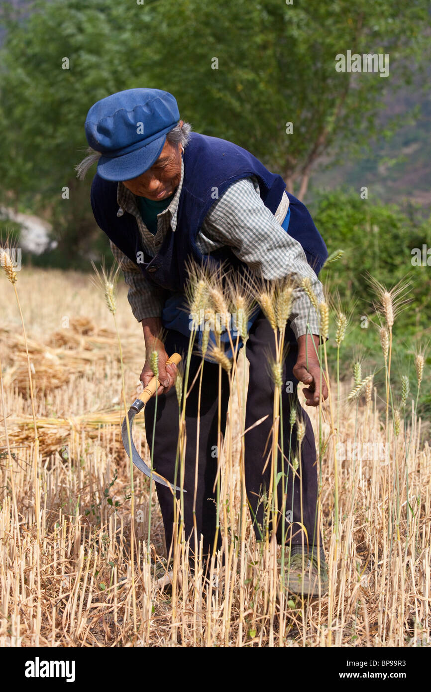 Woman farmer farming china hi-res stock photography and images - Alamy