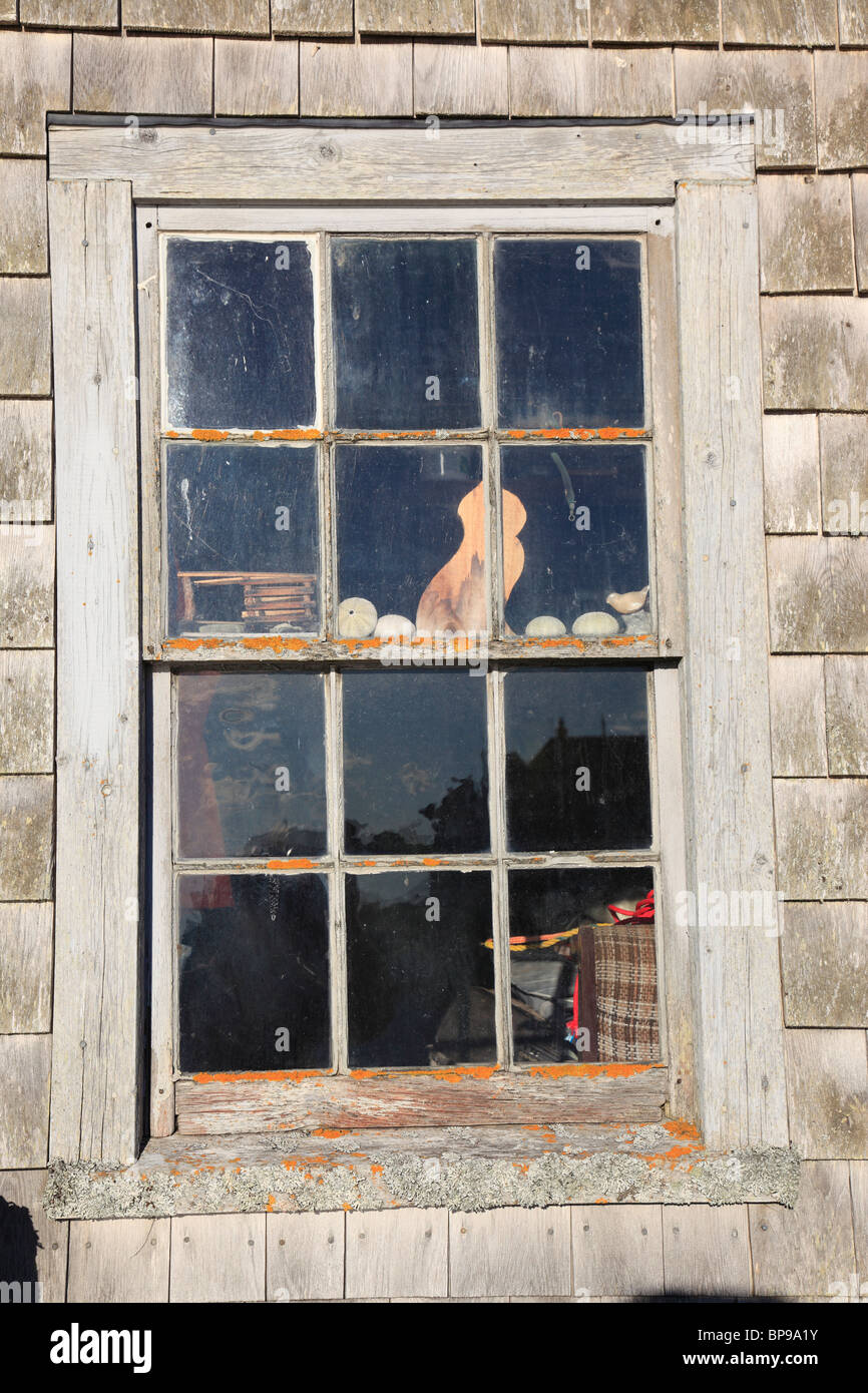 window at Fish Shack Nova Scotia, Canada, North America. Photo by Willy ...
