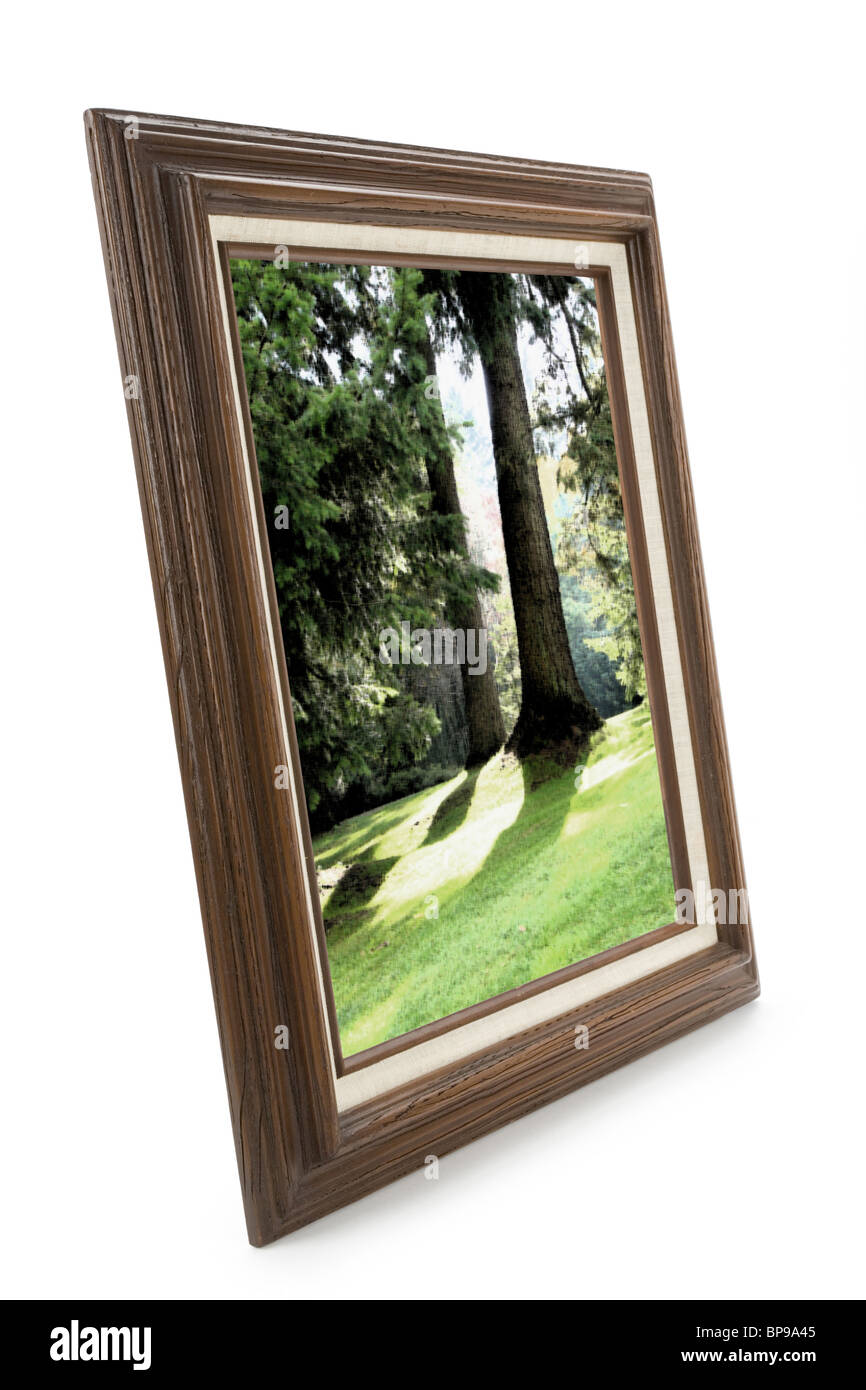 Sunlight picture Cut Out Stock Images & Pictures - Alamy