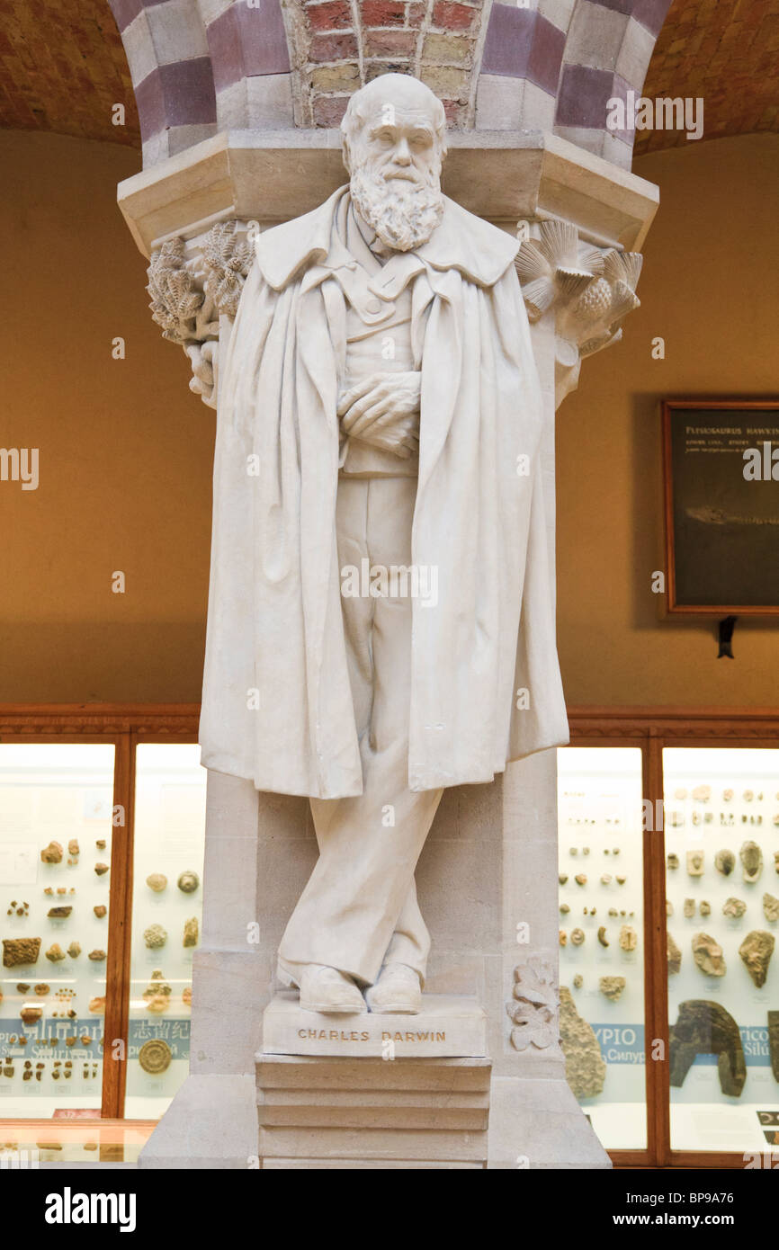 A statue of Charles Darwin in the Oxford University Natural History ...