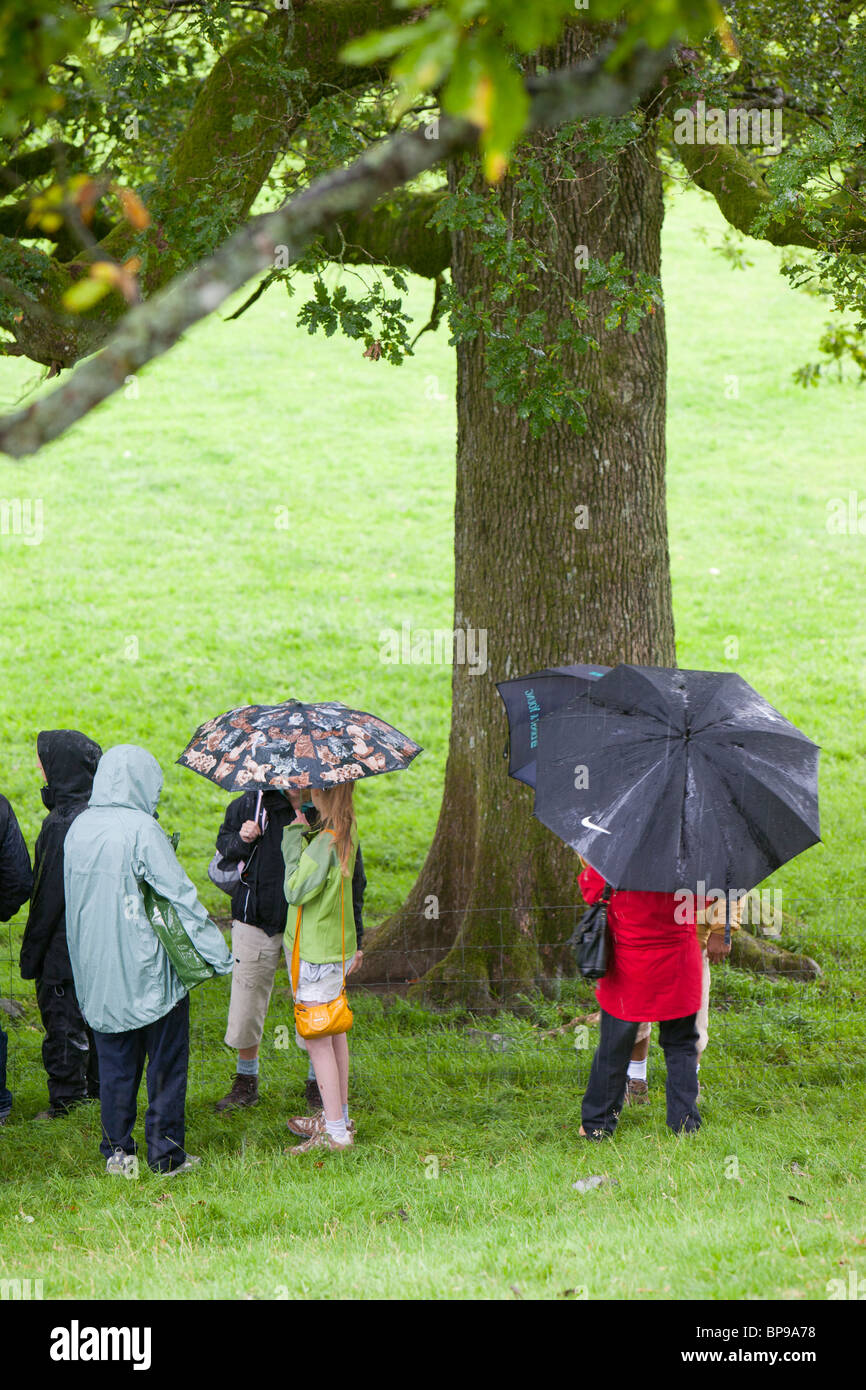 Heavy rain umbrella uk hi-res stock photography and images - Alamy