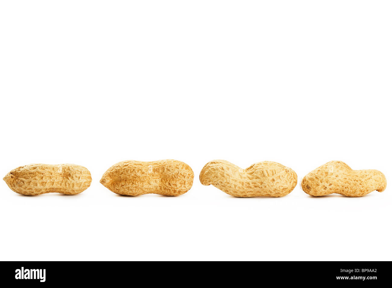 four peanuts in a row on white background Stock Photo - Alamy
