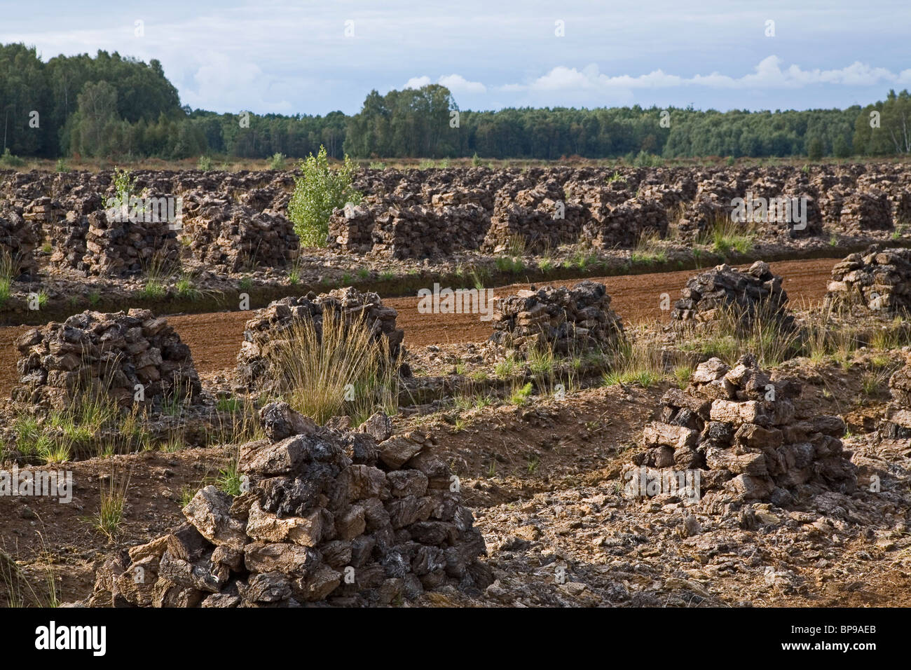 Peat moor hi-res stock photography and images - Alamy