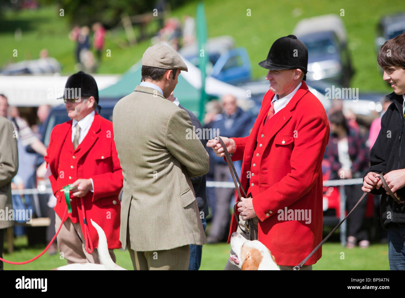 Fox hunting lake district hi-res stock photography and images - Alamy
