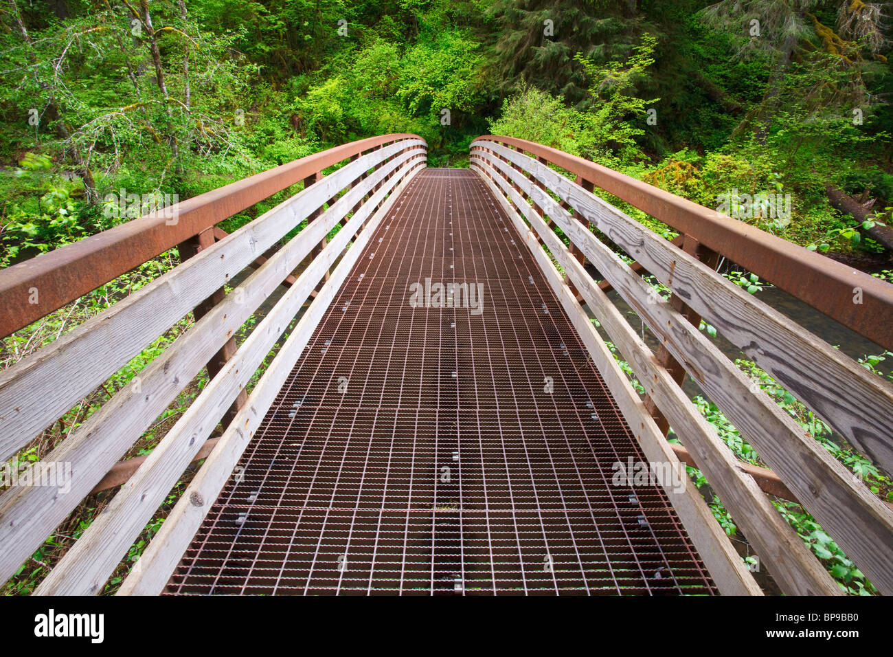 Oregon, United States Of America; A Walking Bridge In Silver Falls ...