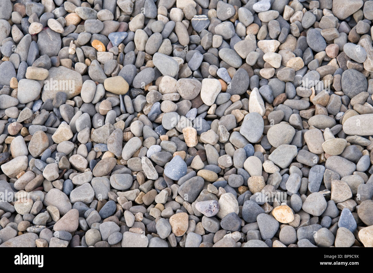 scene from a stoney beach in Cappagh Kilrush County Clare Ireland Stock ...