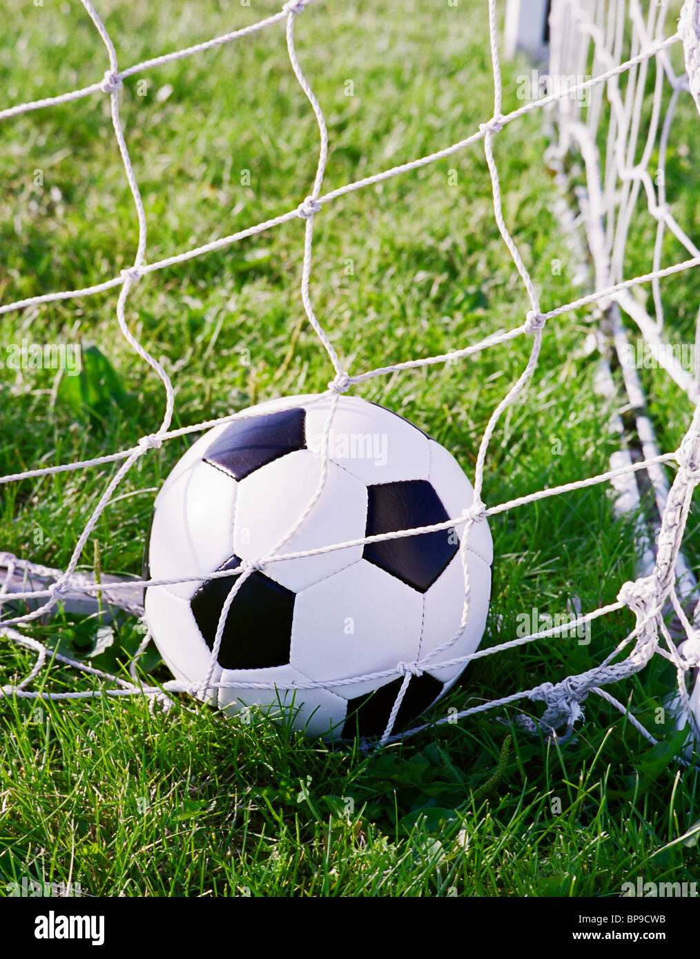 Football in the goal net Stock Photo - Alamy
