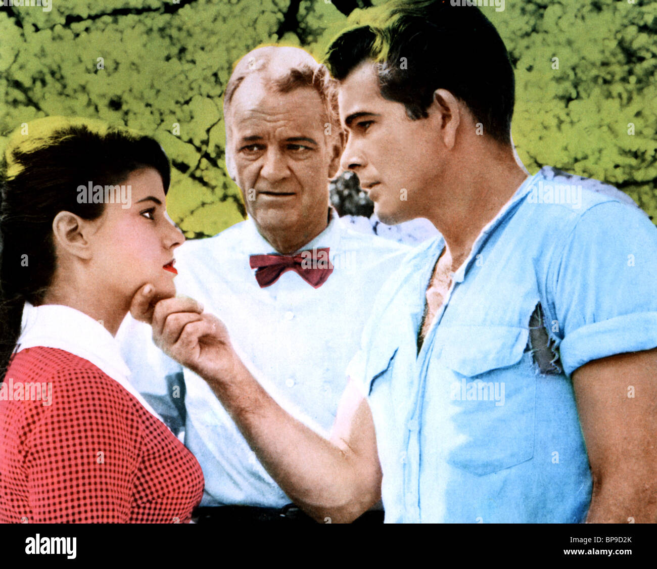 Matt Meadows High Resolution Stock Photography and Images - Alamy