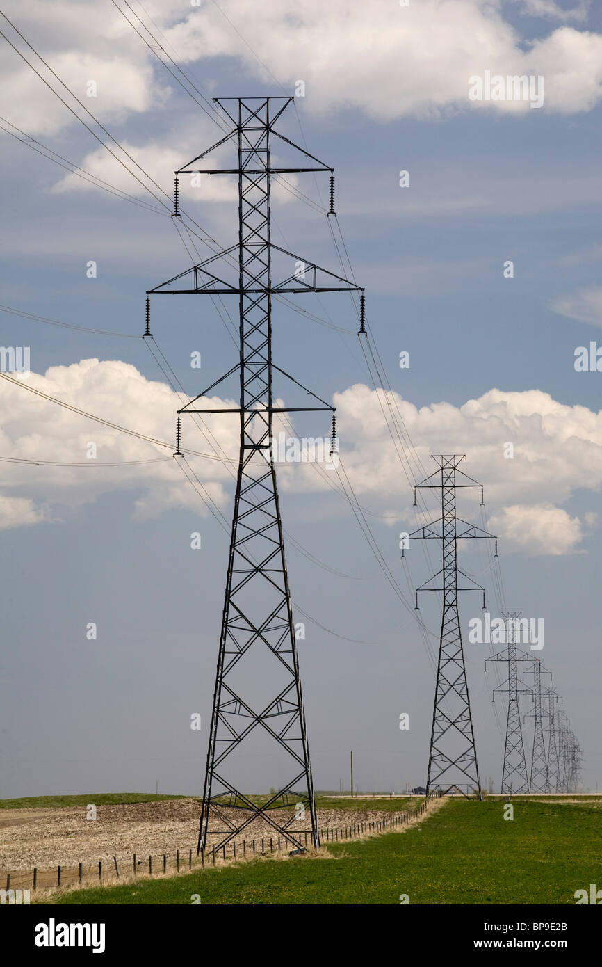 calgary, alberta, canada; metal power lines in a row with a blue sky ...