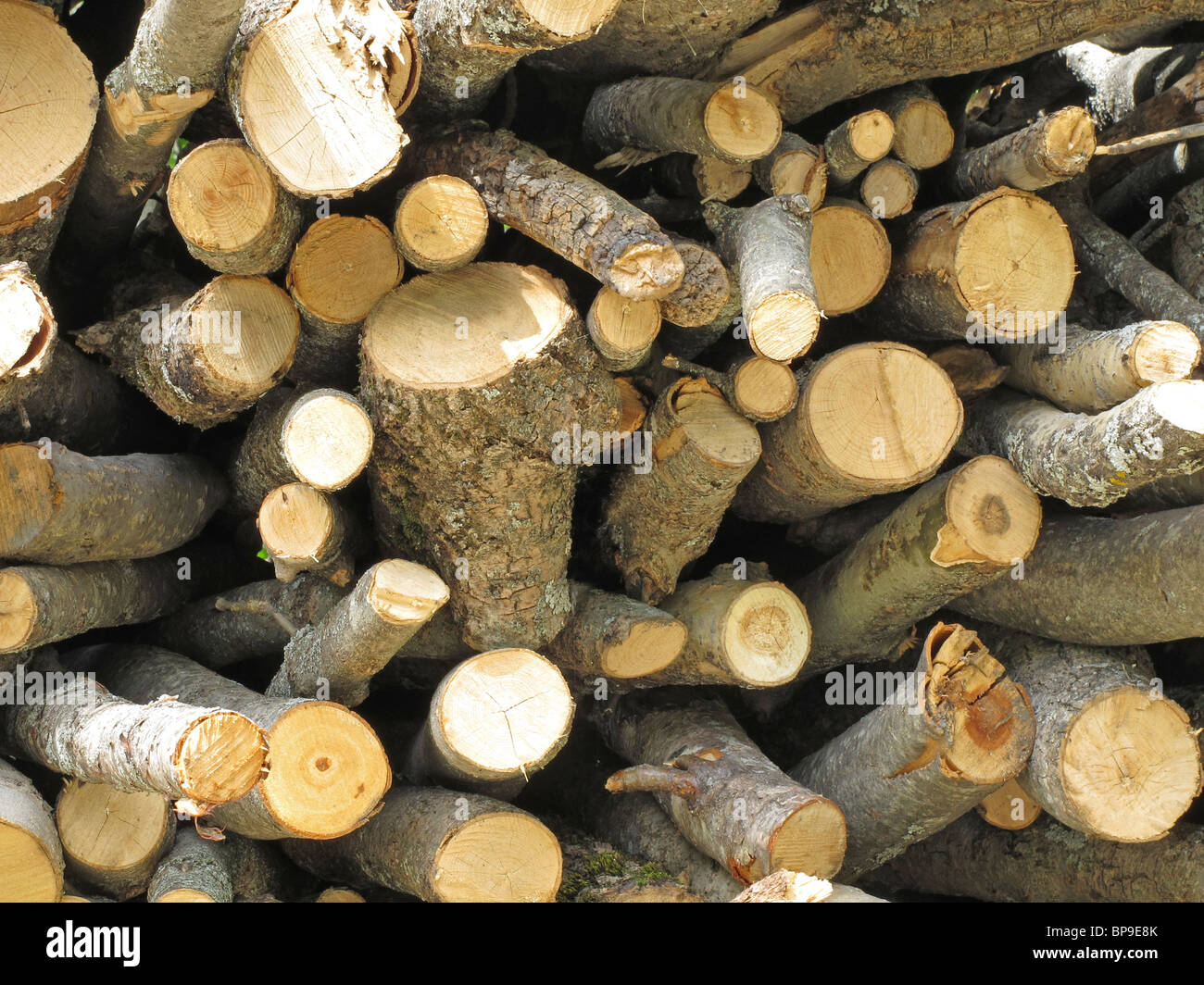 Log pile nobody hi-res stock photography and images - Alamy