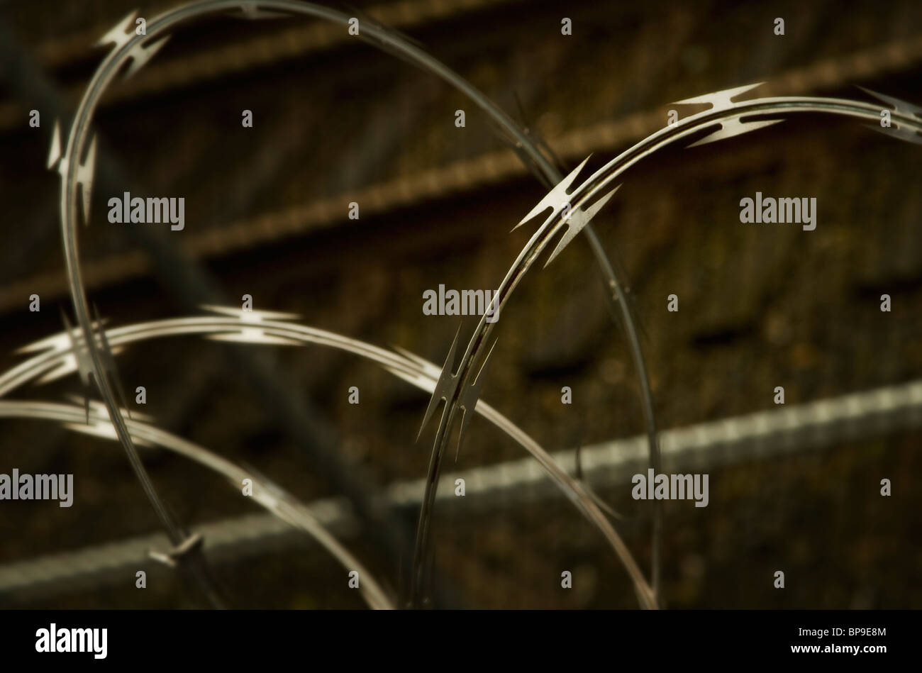 barbed wire fence Stock Photo - Alamy