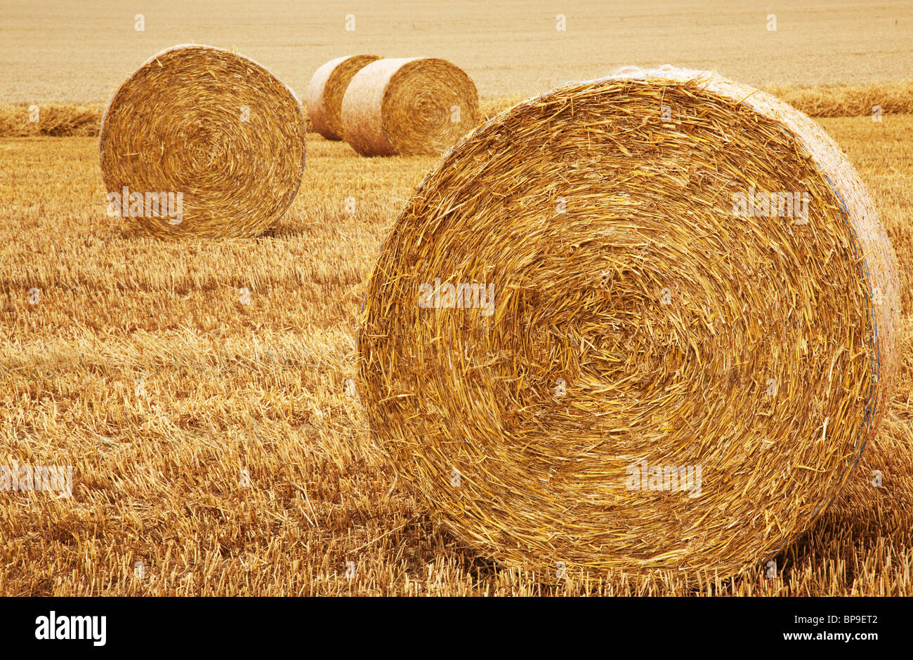 Circular hay hi-res stock photography and images - Alamy