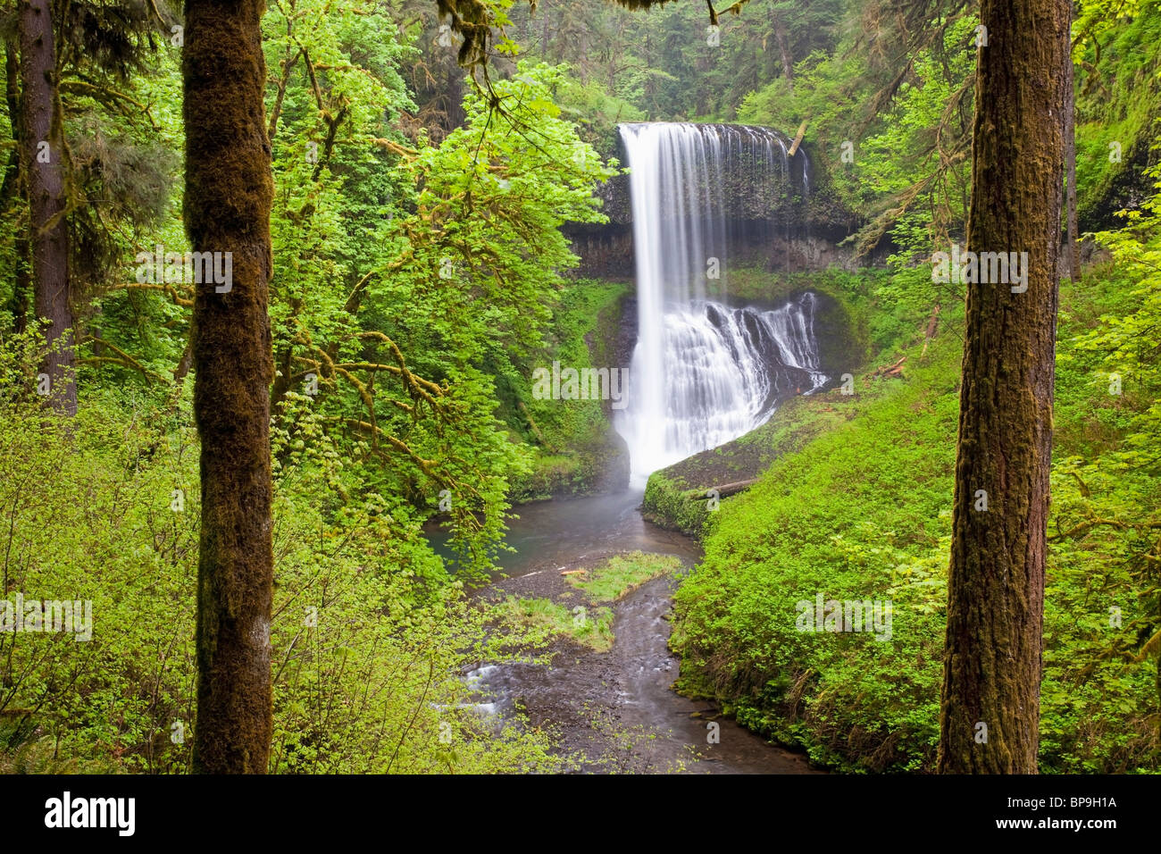 Oregon, United States Of America; North Middle Falls In Silver Falls ...