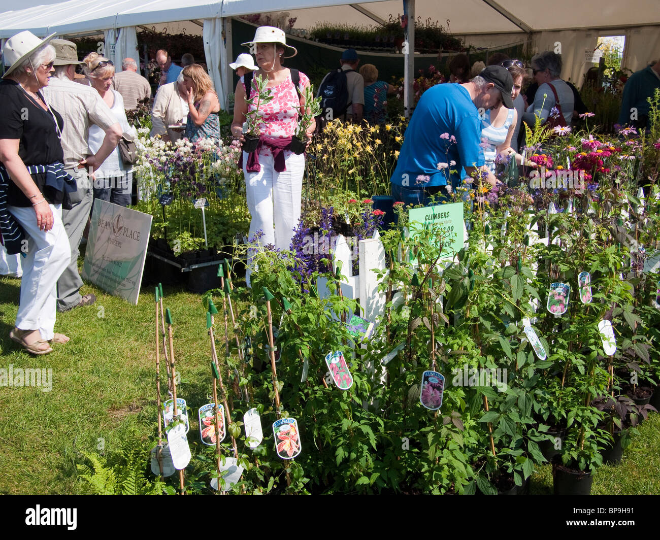 Show plants hi-res stock photography and images - Alamy