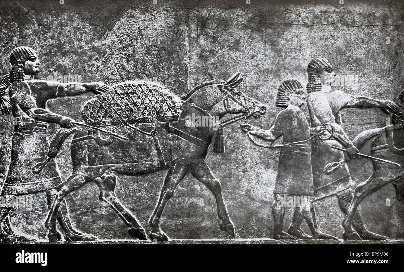 Arab Assyrian War