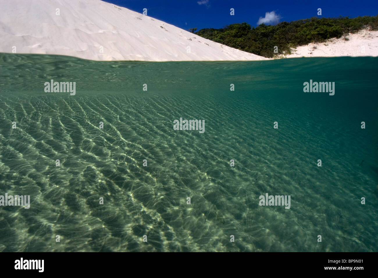 Temporary ponds hi-res stock photography and images - Alamy