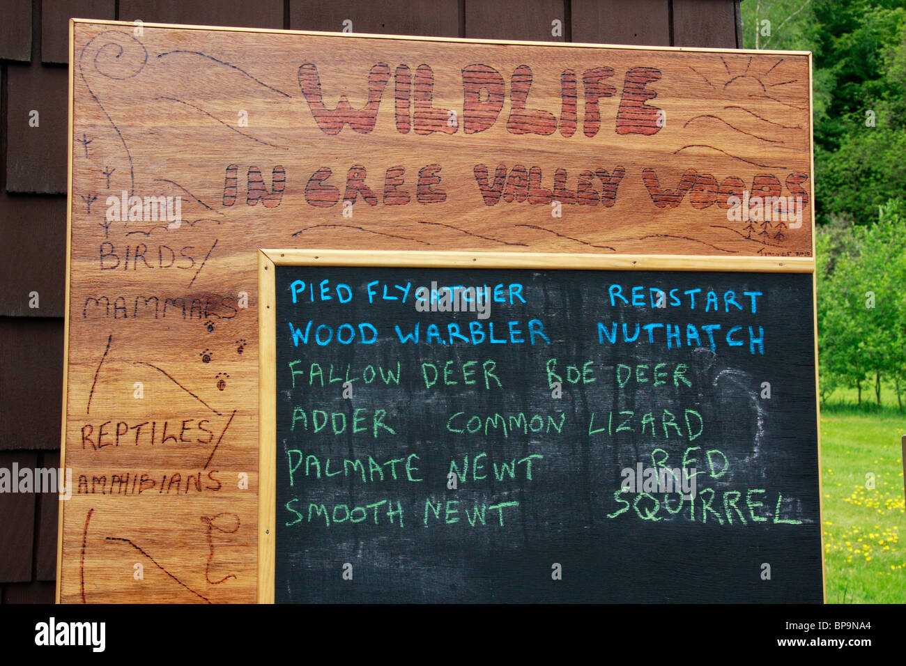 Wildlife sign at Kirroughtree Visitor Centre near Newton Stewart in the ...