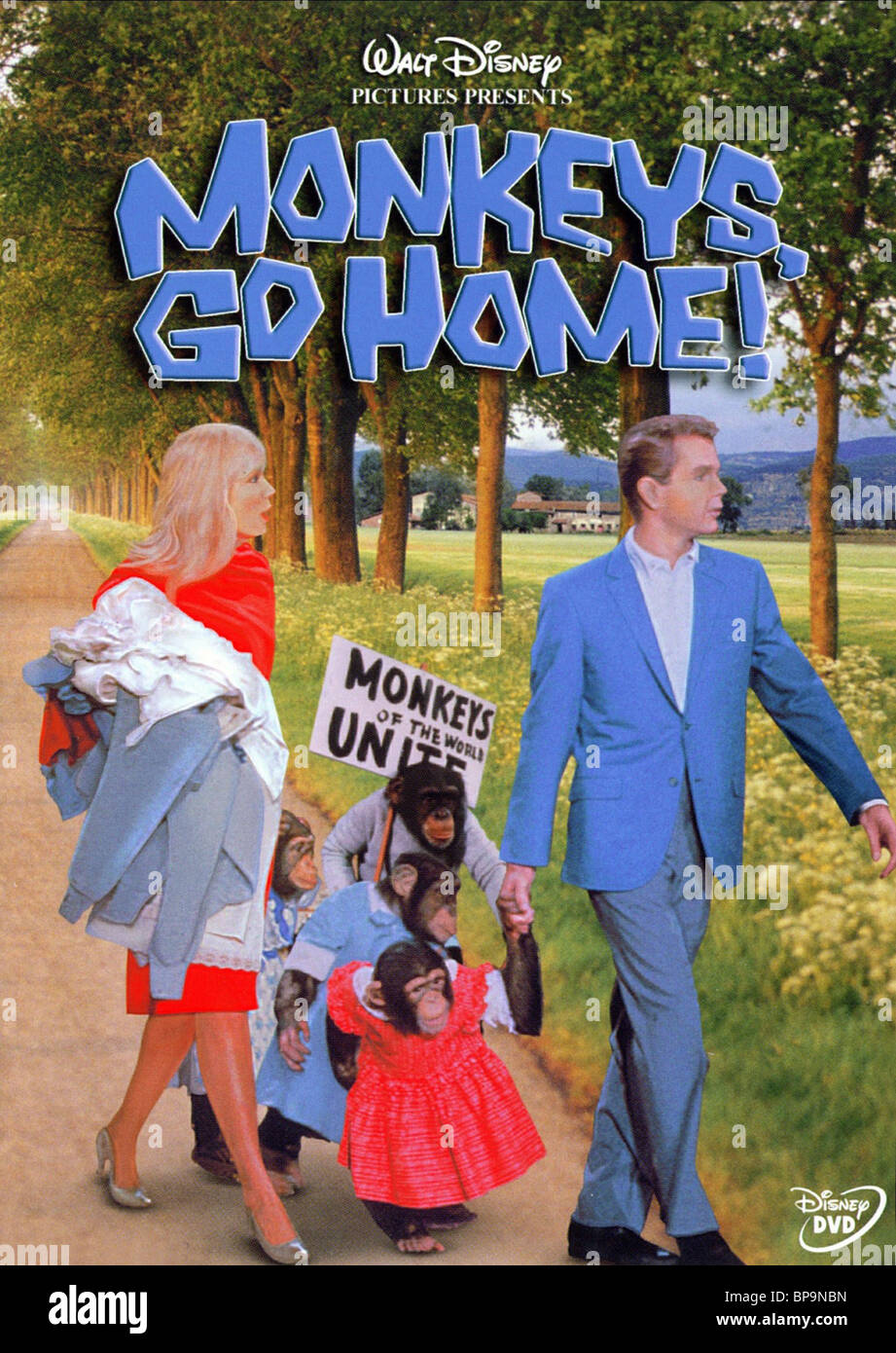 Monkeys Go Home High Resolution Stock Photography and Images - Alamy