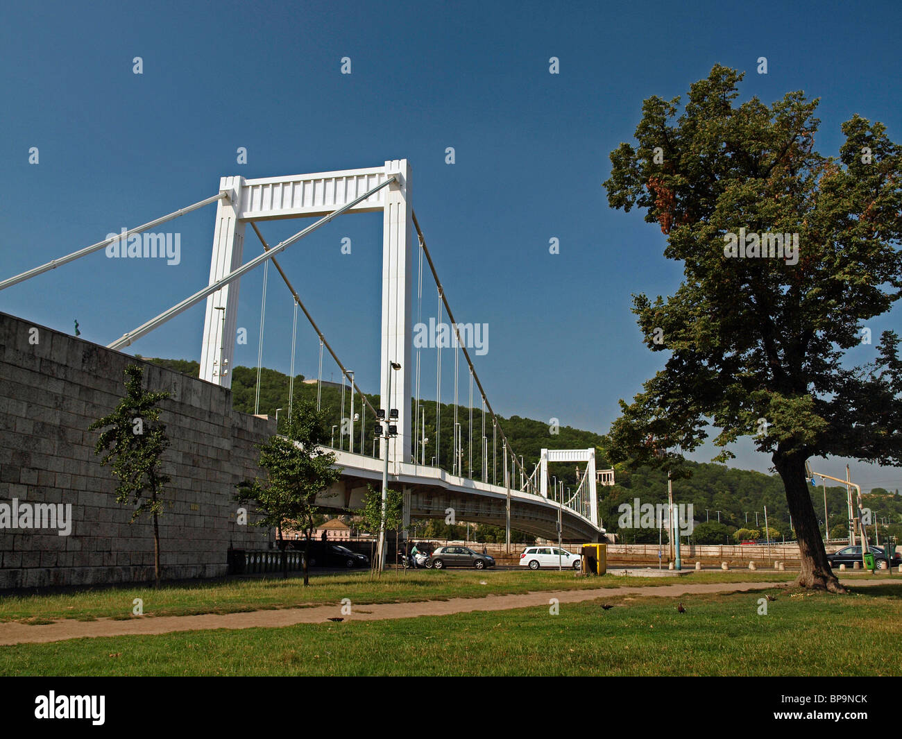 Elizabeth Bridge Budapest, Hungary Stock Photo - Alamy