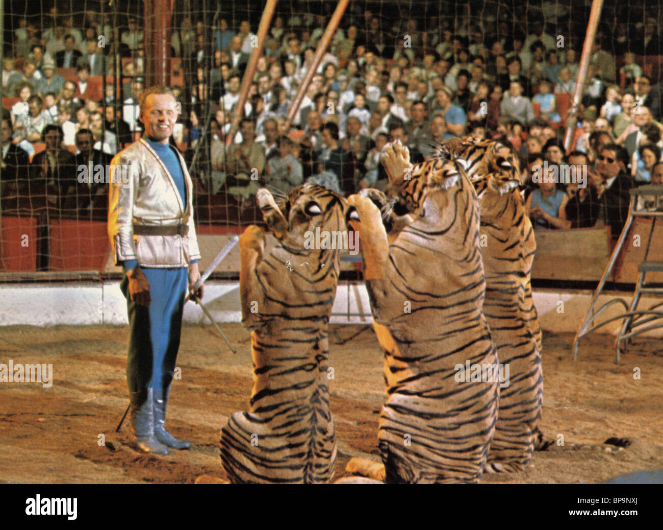 Tamer And Tiger High Resolution Stock Photography and Images - Alamy