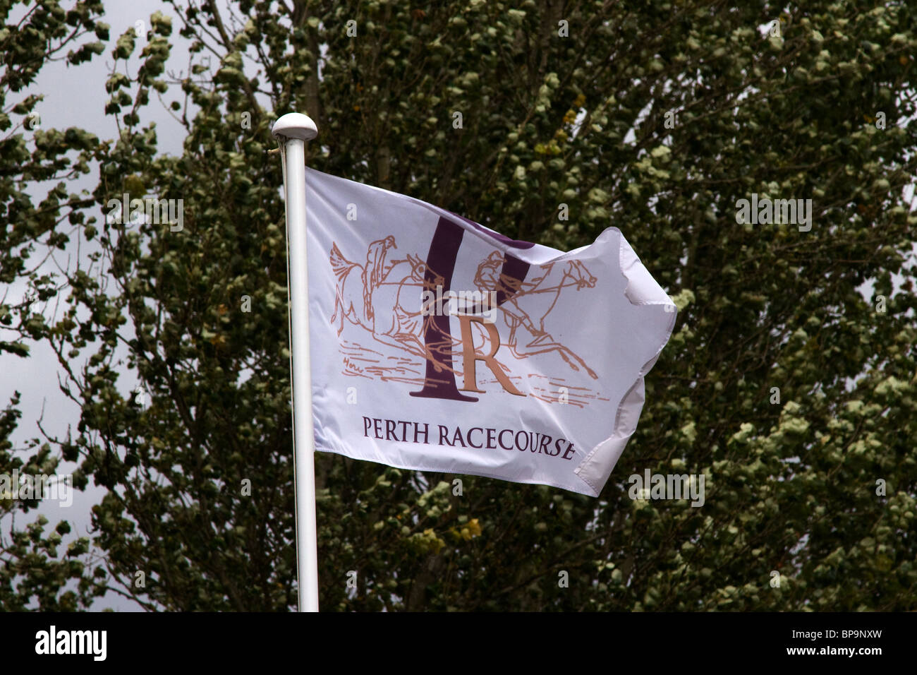 Perth Racecourse Flag Saturday 21st August, 2011 Perth 800 Race Day ...