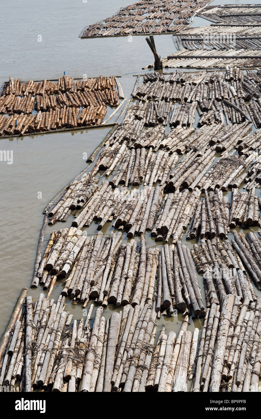 Log and Lumber Floating On Water Stock Photo - Alamy
