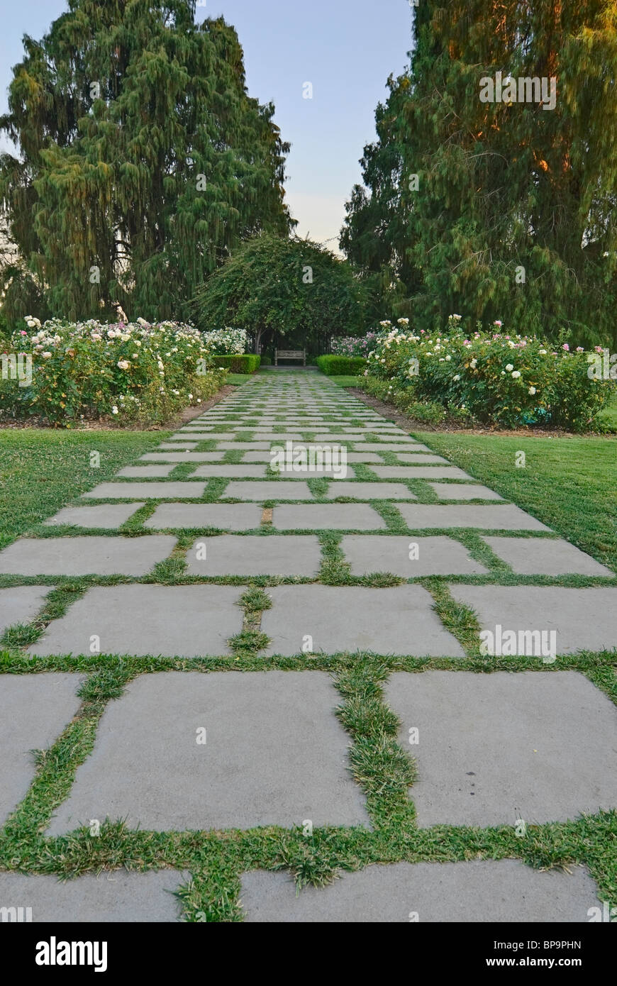 Beautiful pathway along rose garden hi-res stock photography and images ...