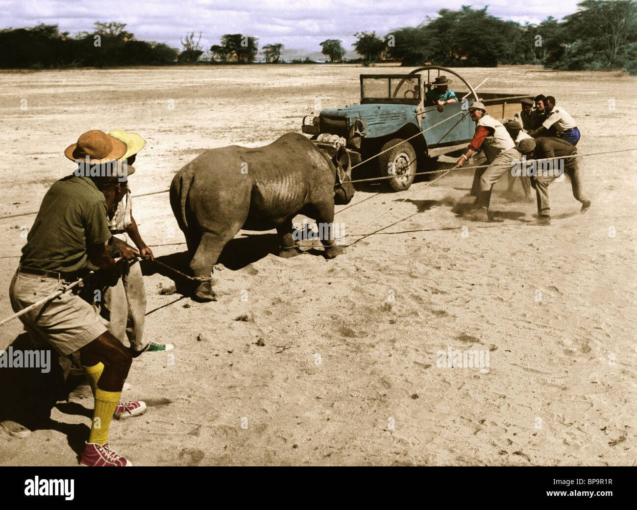 JOHN WAYNE HATARI! (1962 Stock Photo: 30948451 - Alamy