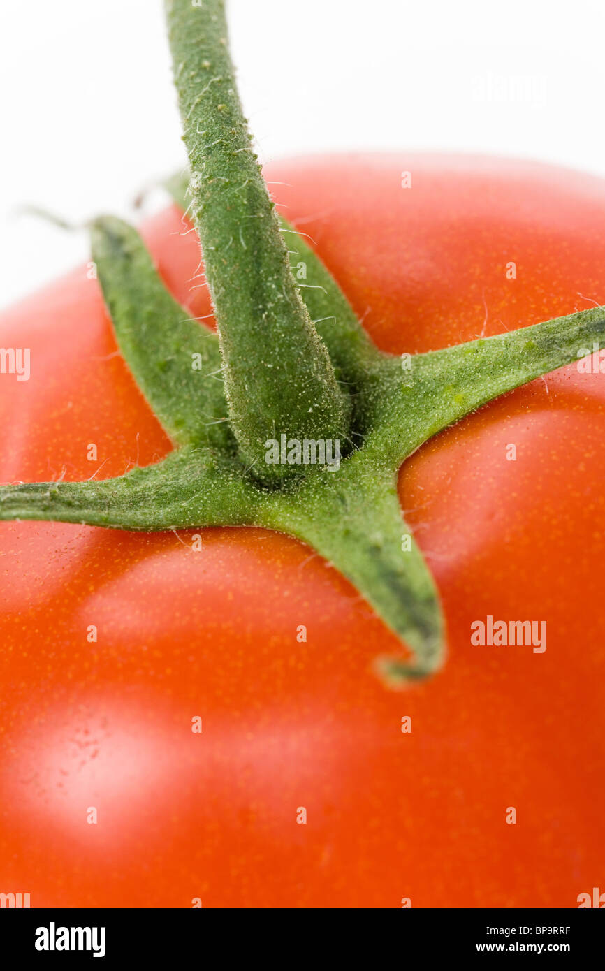Tomato close up hi-res stock photography and images - Alamy