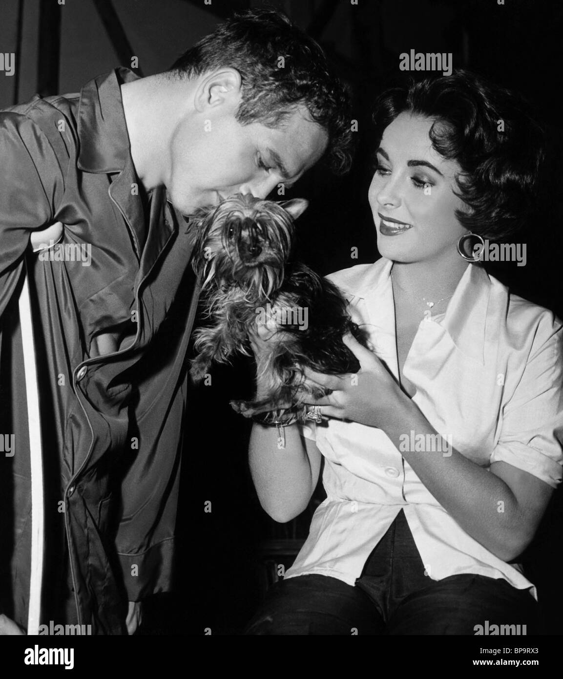 Cat On A Hot Tin Roof Paul Newman High Resolution Stock Photography and ...