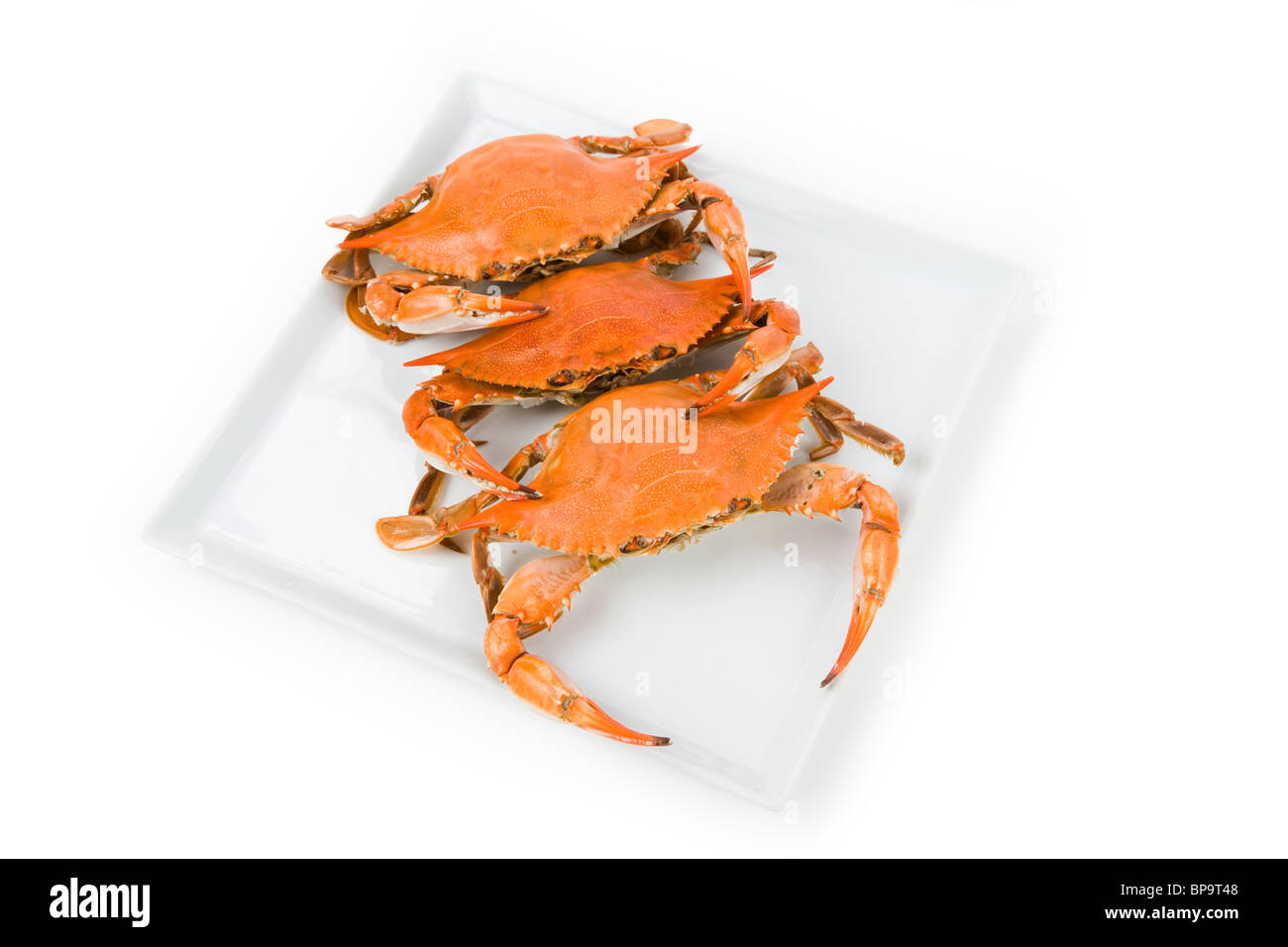 Orange white crab Cut Out Stock Images & Pictures - Alamy
