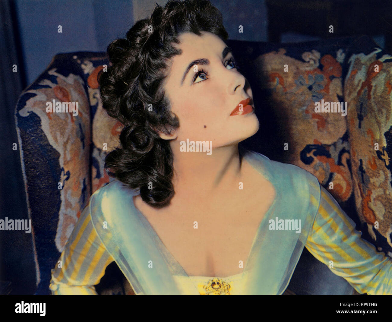 Lady Taylor High Resolution Stock Photography and Images - Alamy