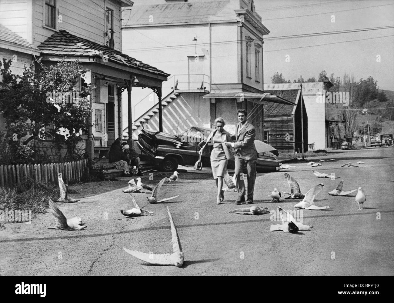 The Birds Rod Taylor Stock Photos & The Birds Rod Taylor Stock Images ...