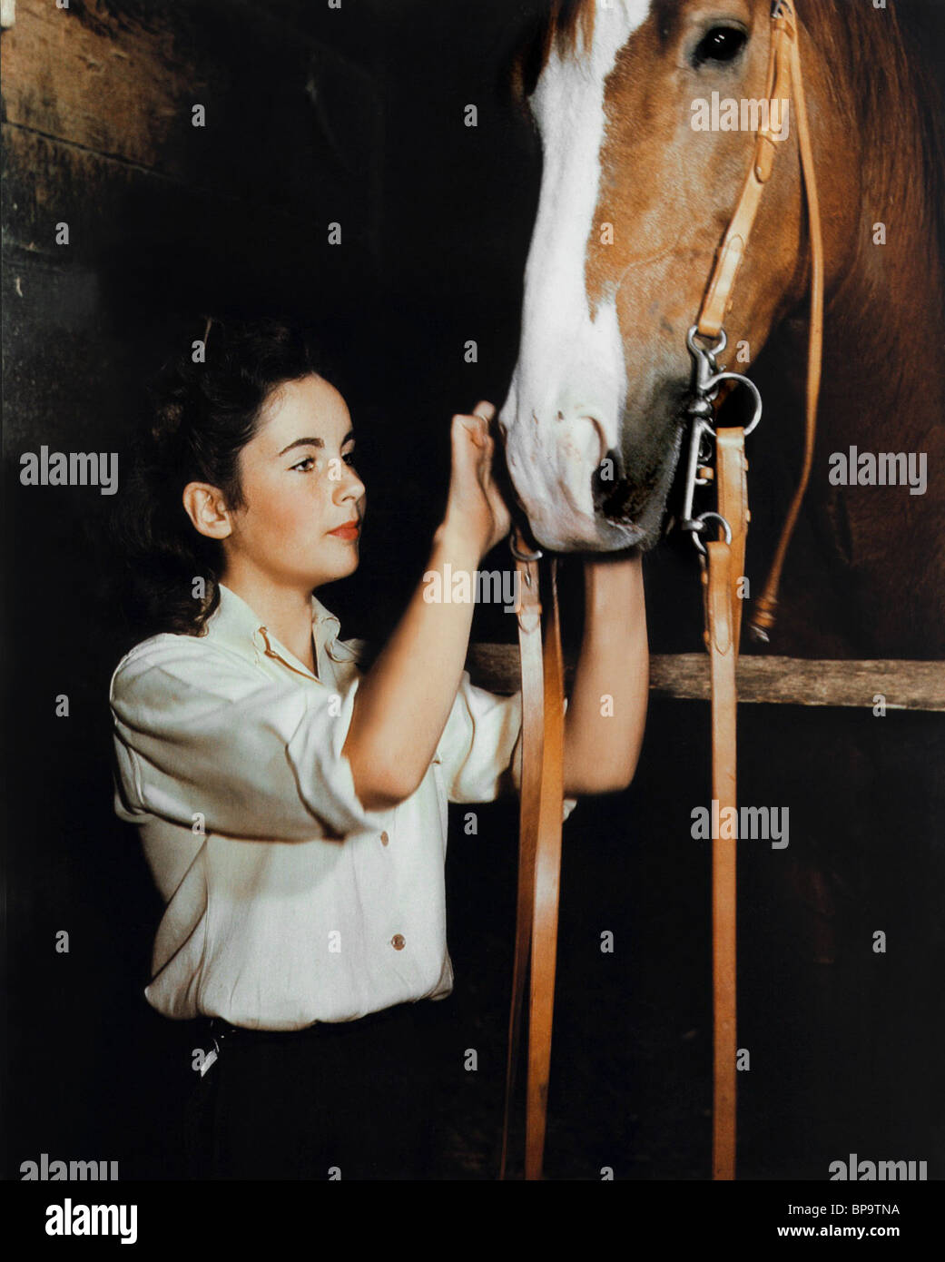 National Velvet Film