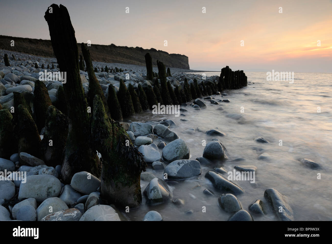 Weathered groynes amongst the rocks of Lilstock beach, Somerset Stock ...