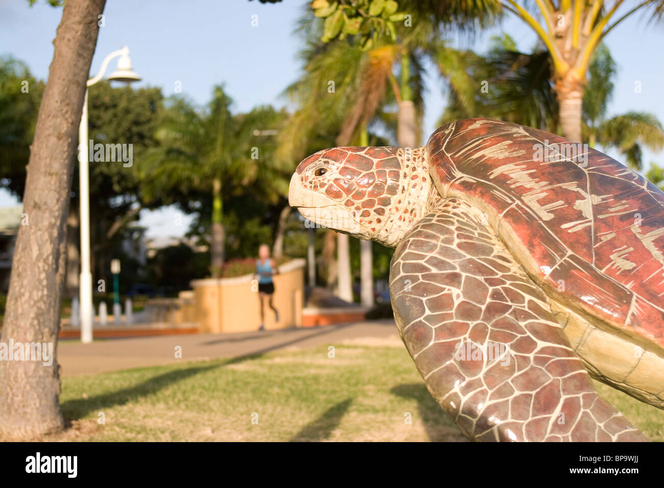 A jogger exercises on The Strand under the watchful gaze of a ...