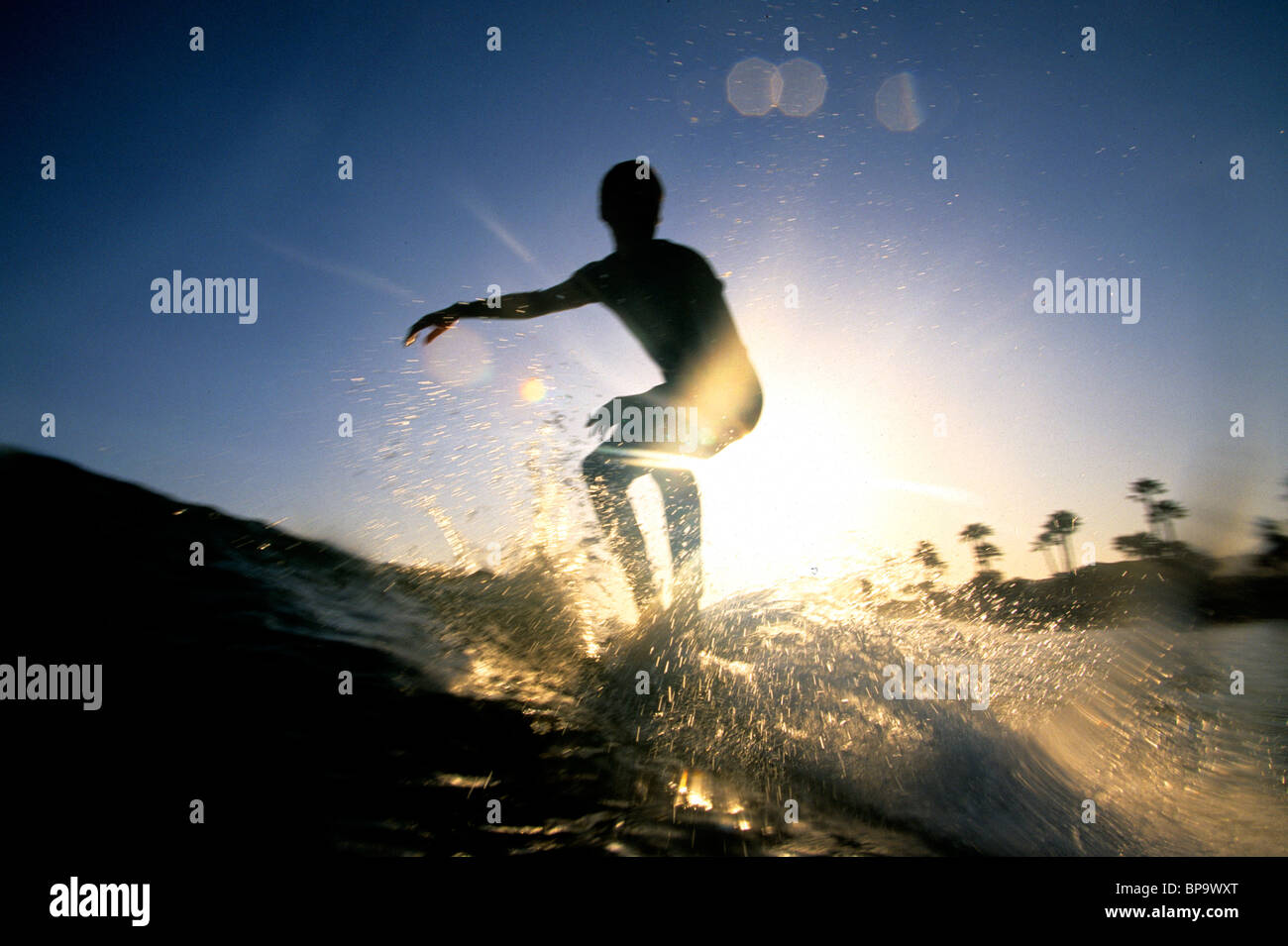 Male surfer hangs five surfing at sunset, C-Street Ventura, California ...