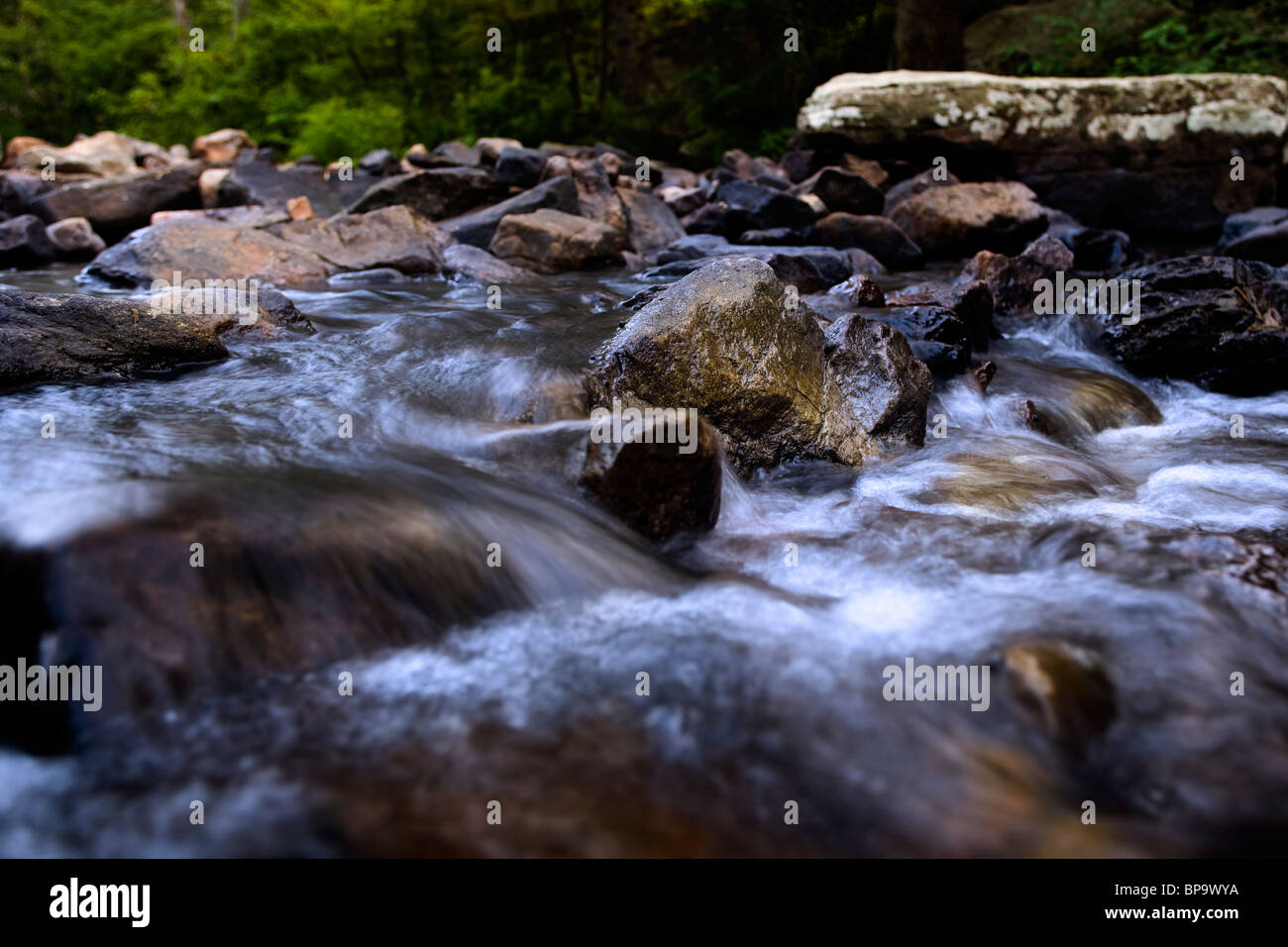 Small rocky stream Stock Photo - Alamy